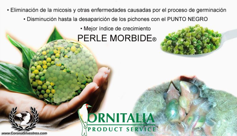Perle Morbide Ornitalia - ProductosParaAves.Com